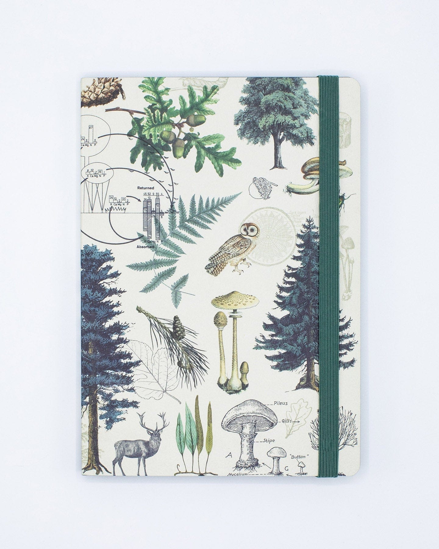Woodland Forest A5 Notebook - Dotted Lines | Cognitive Surplus