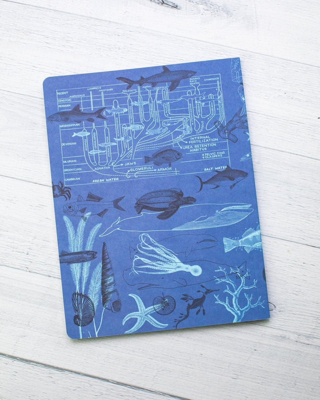 Marine Biology Notebook - Softcover | Recycled Notebook – Cognitive Surplus