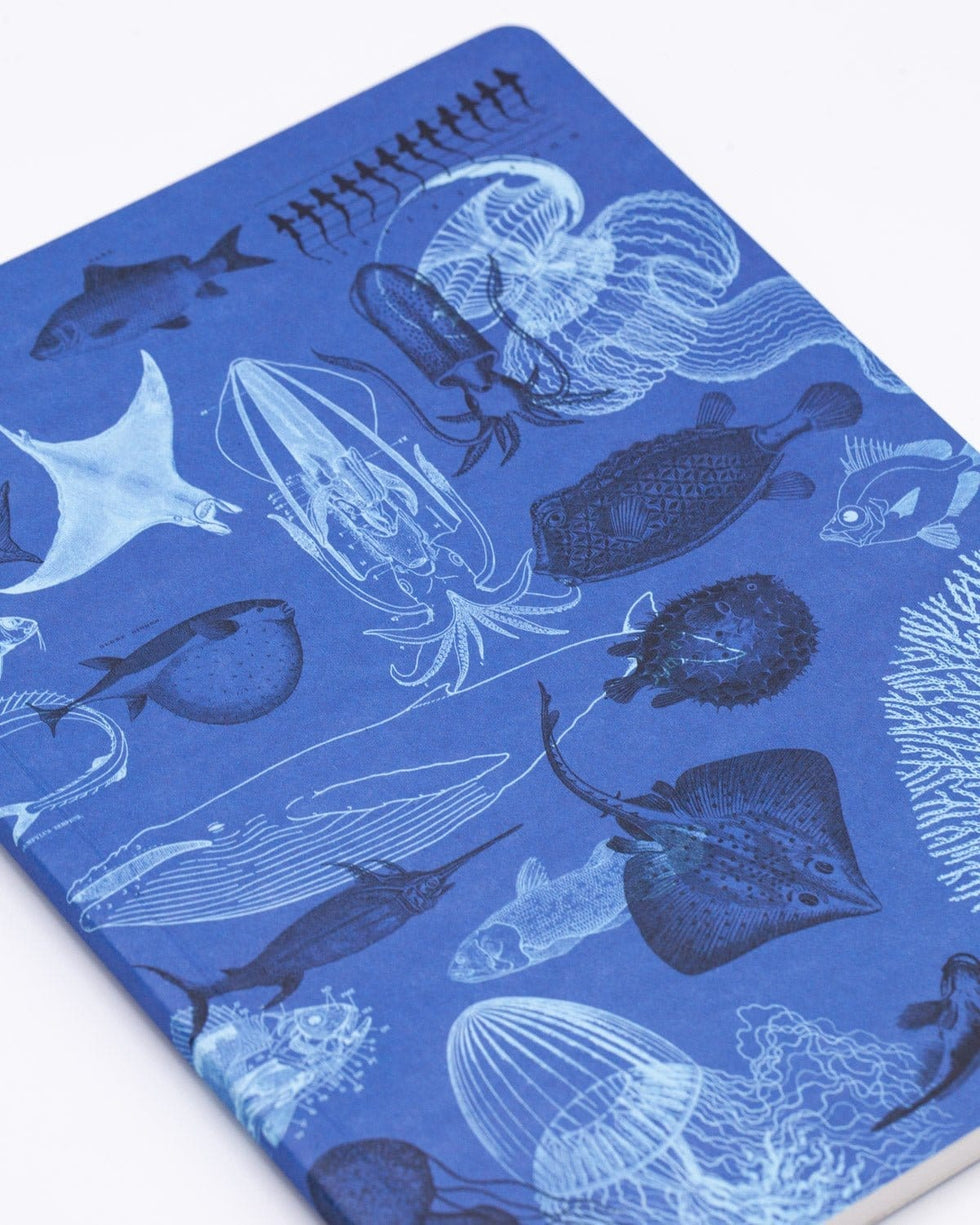 Marine Biology Notebook - Softcover | Recycled Notebook – Cognitive Surplus