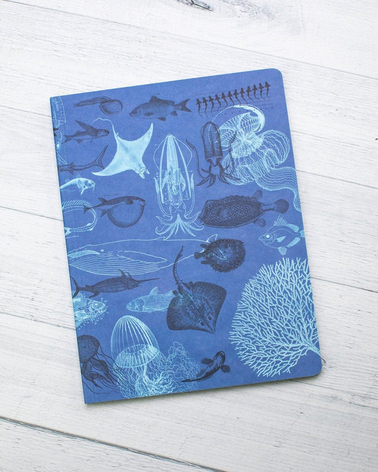 Marine Biology Notebook - Softcover | Recycled Notebook – Cognitive Surplus