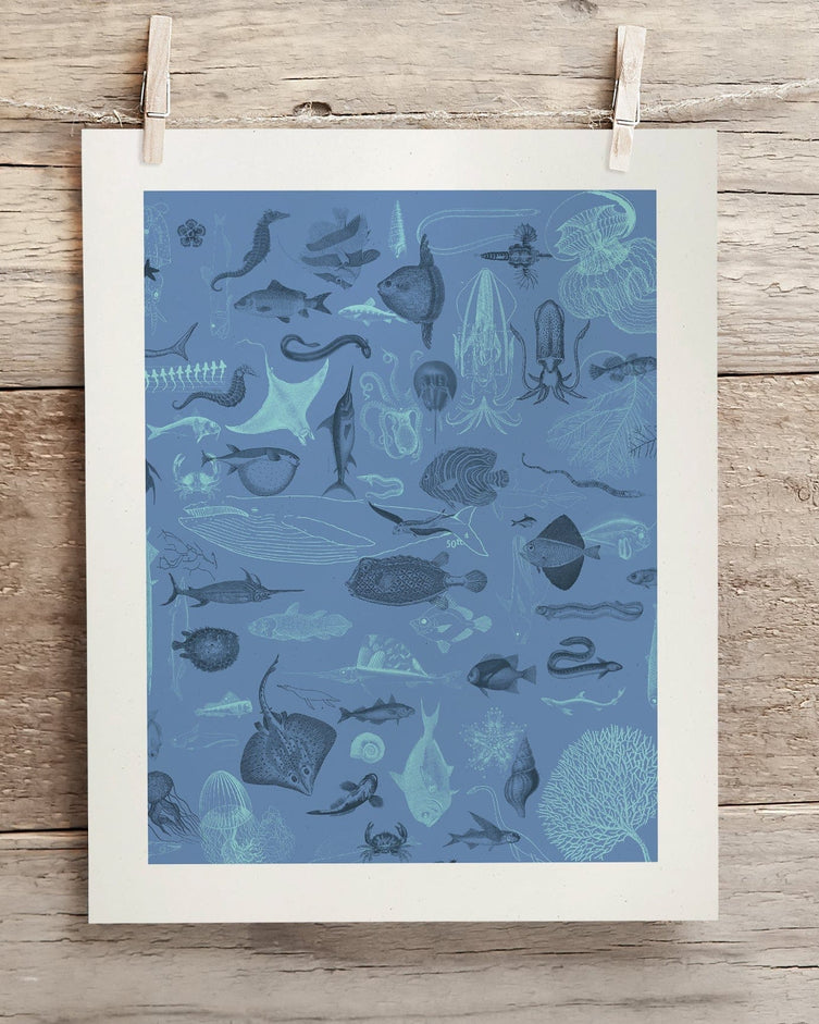 Marine Biology Scientific Illustration Museum Print – Cognitive Surplus