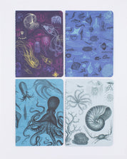 Marine Biology Pocket Notebooks Set of 4 | Marine Biology – Cognitive ...