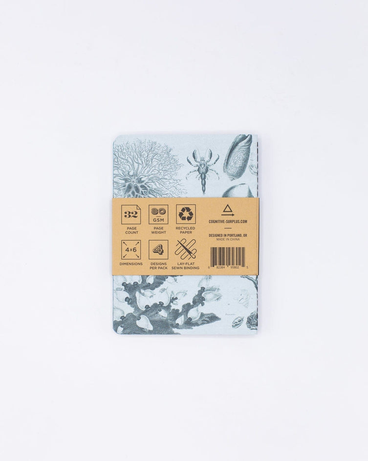 Marine Biology Pocket Notebooks Set of 4 | Marine Biology – Cognitive ...