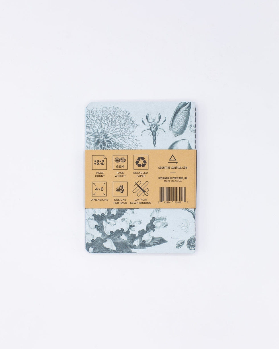 Marine Biology Pocket Notebooks Set of 4 | Marine Biology – Cognitive ...