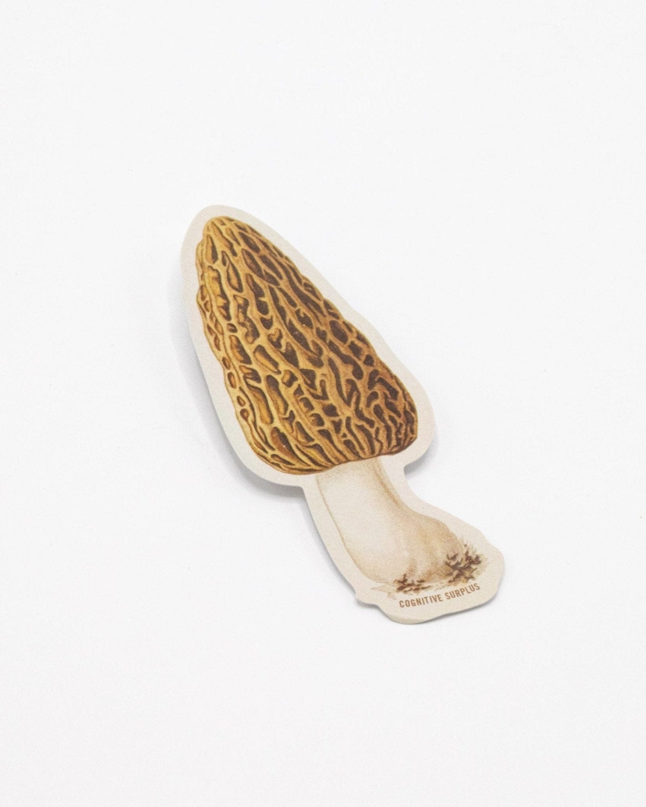 Morel Mushroom Sticker – Cognitive Surplus