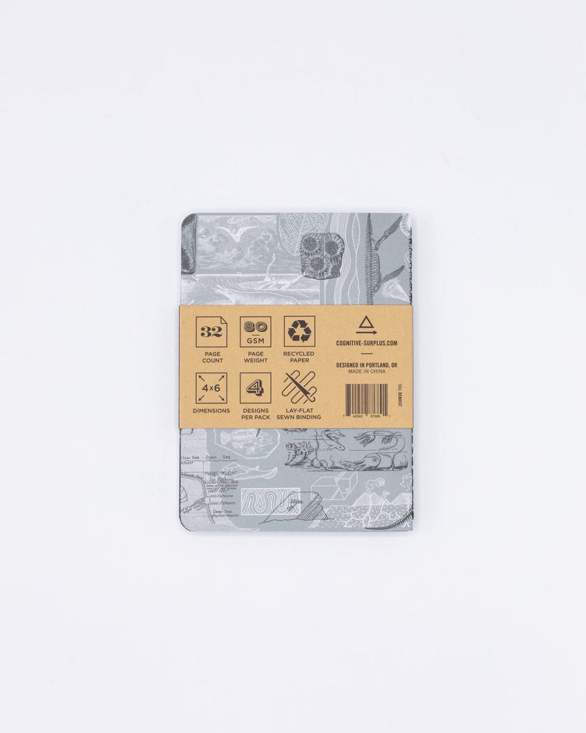 Natural History Pocket Notebooks Set of 4 | Geology Gift – Cognitive ...