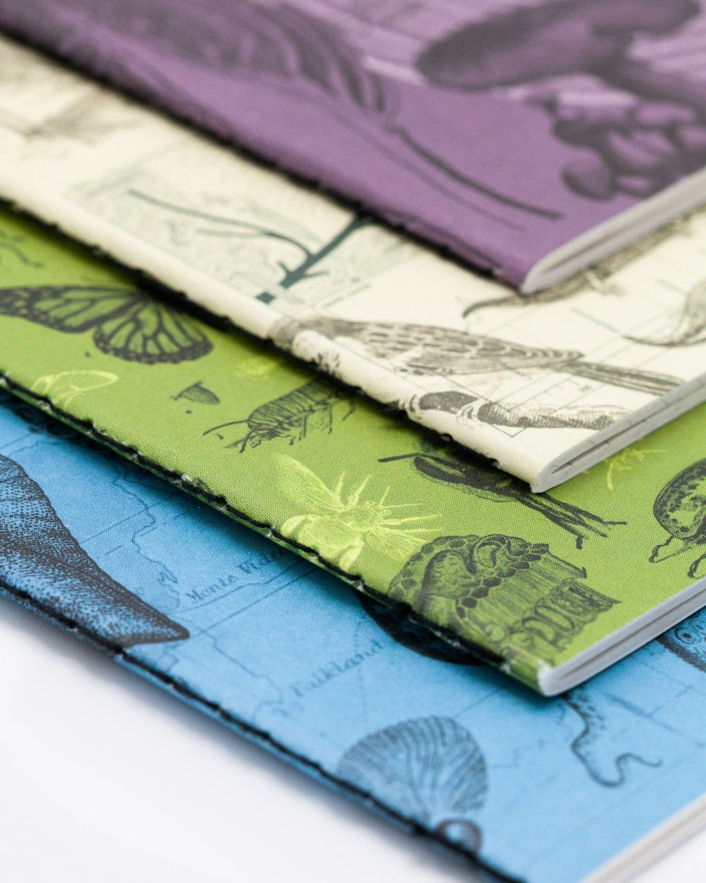 Natural Science Pocket Notebooks Set of 4 | Insect Print – Cognitive ...