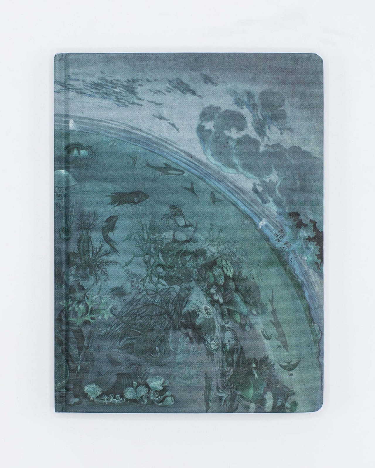 Marine Biology Ocean Print Notebook | Dot Grid Journal – Cognitive Surplus