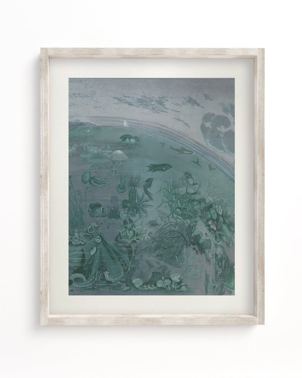 Ocean Planet Scientific Illustration Museum Print – Cognitive Surplus