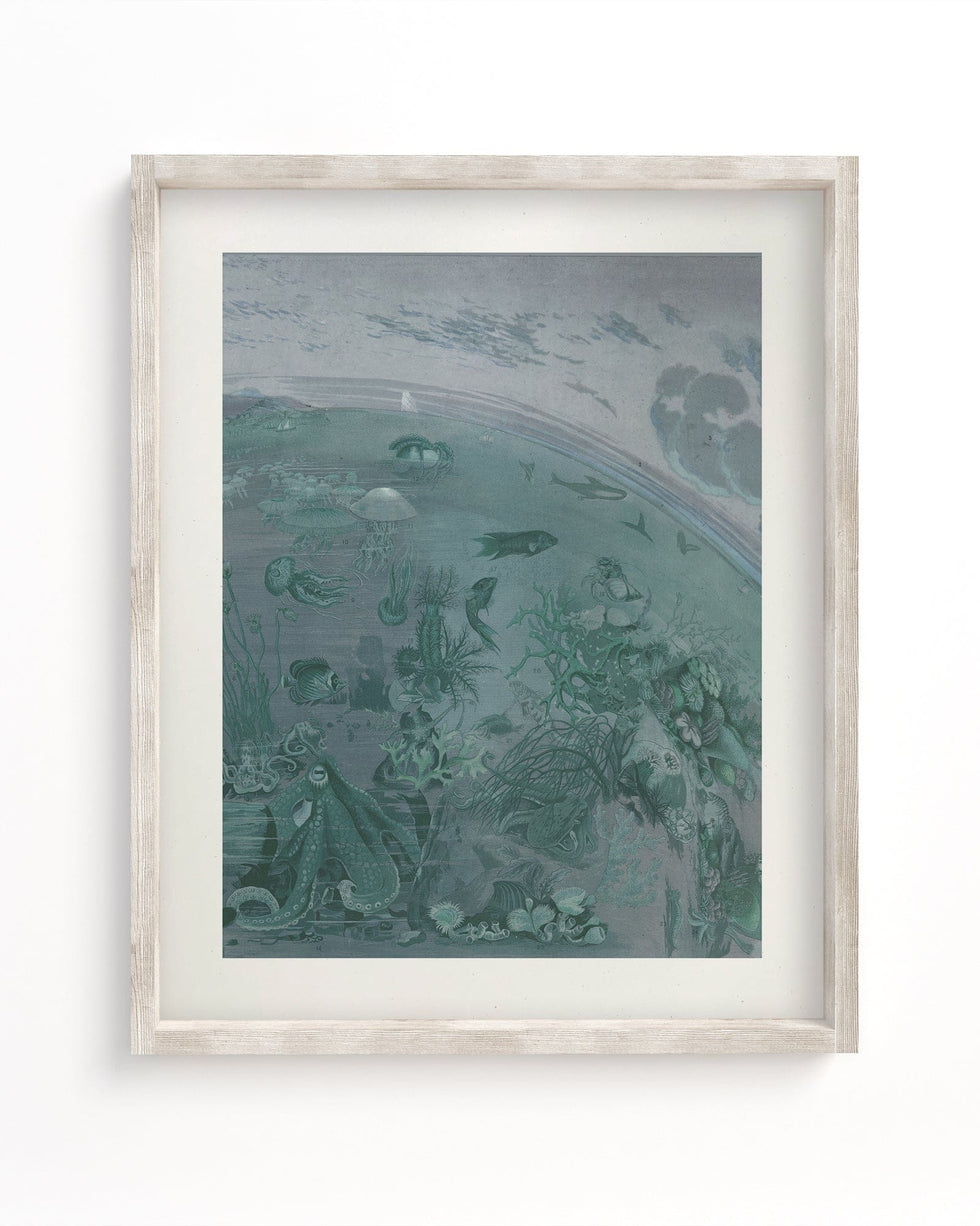 Ocean Planet Scientific Illustration Museum Print – Cognitive Surplus