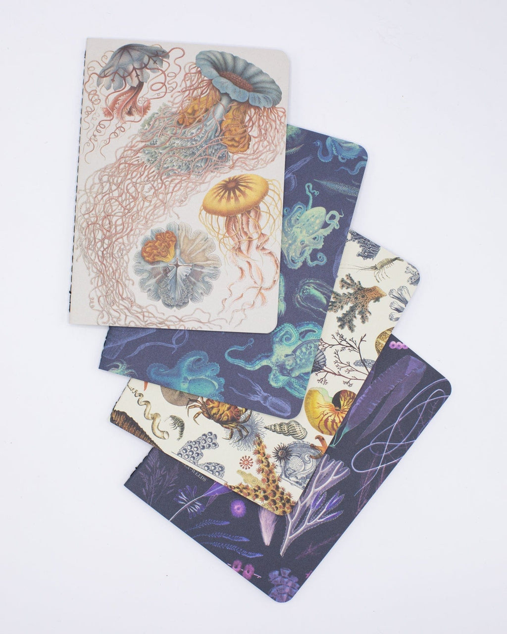 Ocean Pocket Notebook 4-pack Cognitive Surplus