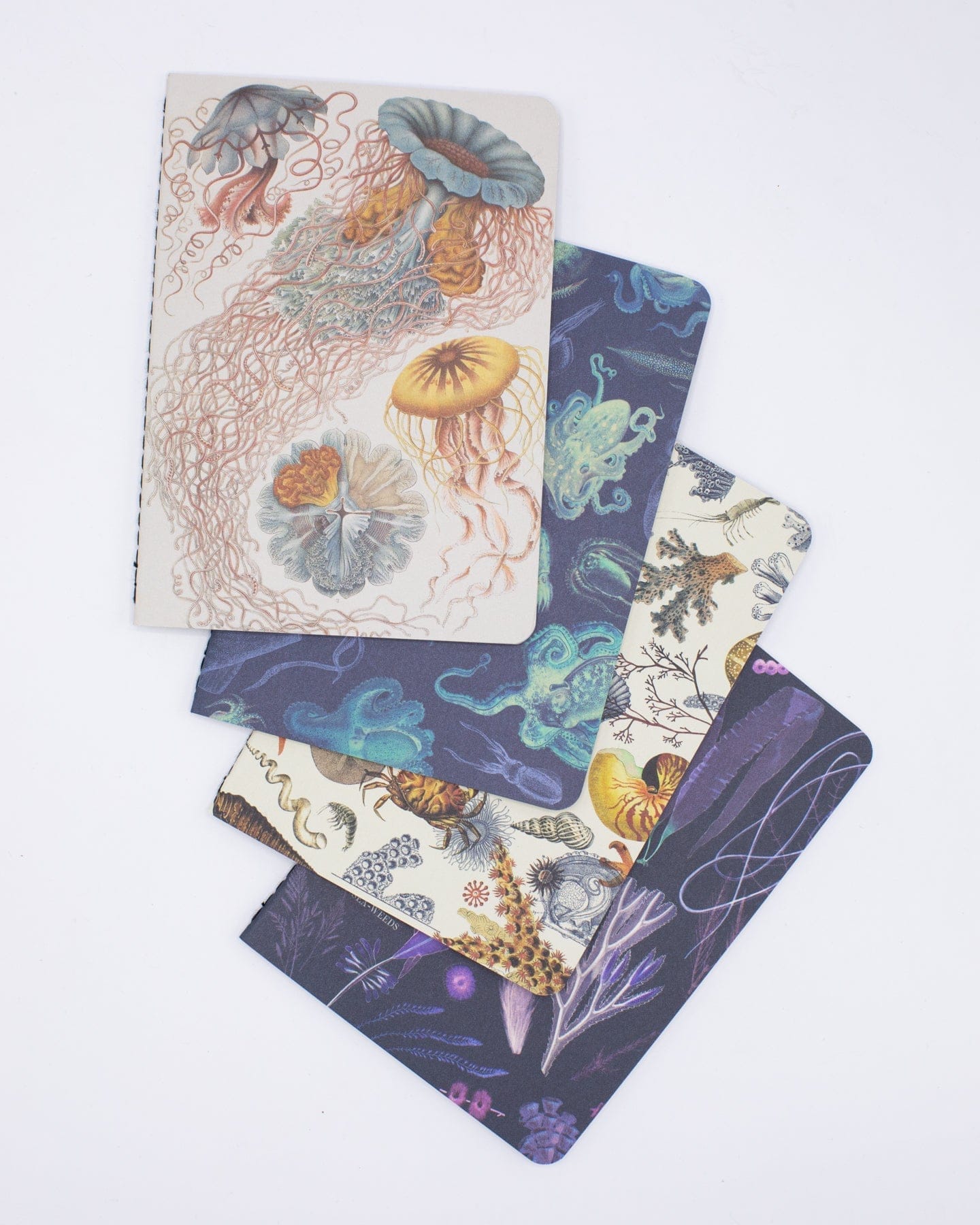 Multi-Pack Small Notebooks - Field Notebooks | Cognitive Surplus