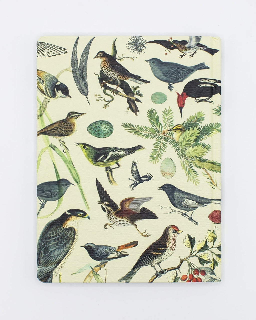 Birds of Prey Notebook - Hardcover | Ecology – Cognitive Surplus