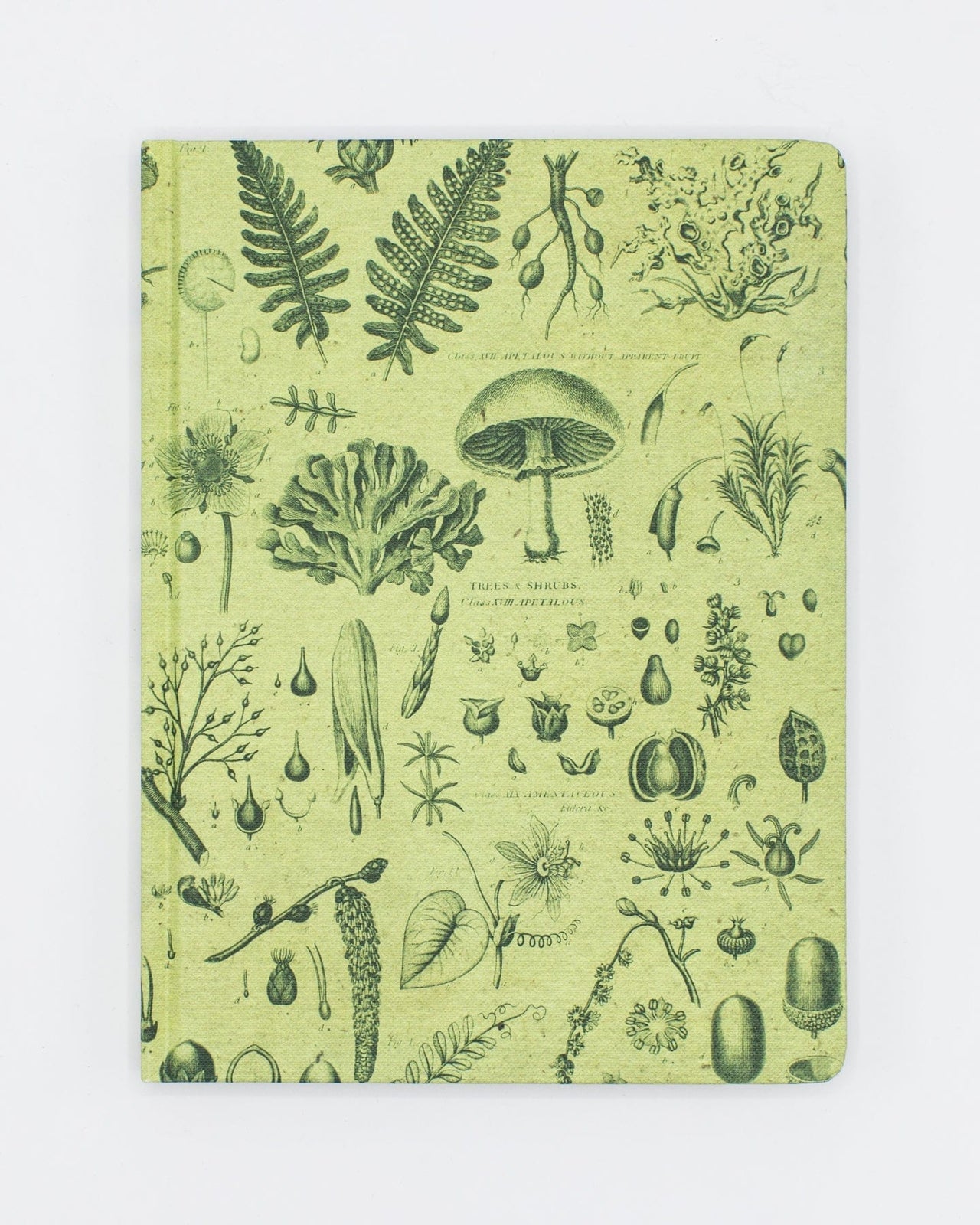 Botanical Print Notebook - Hardcover | Science Notebook – Cognitive Surplus