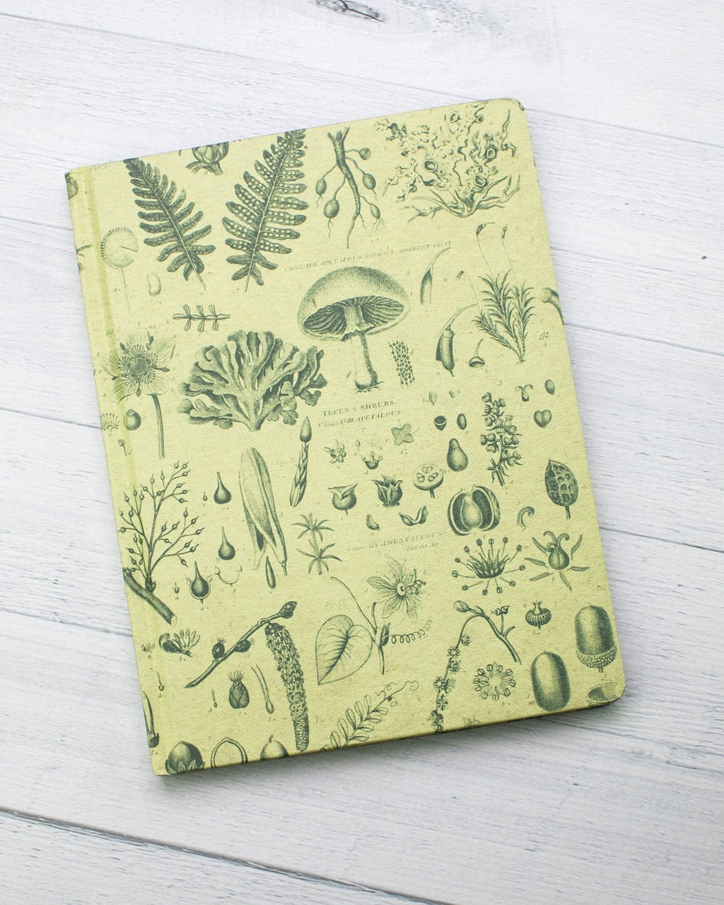 Botanical Print Notebook - Hardcover | Science Notebook – Cognitive Surplus