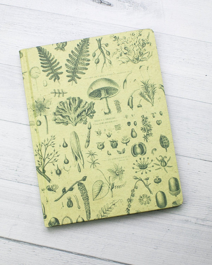 Botanical Print Notebook - Hardcover | Science Notebook – Cognitive Surplus
