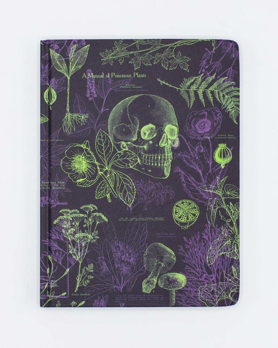 Graph Paper Notebook - Lined Notebook | Cognitive Surplus