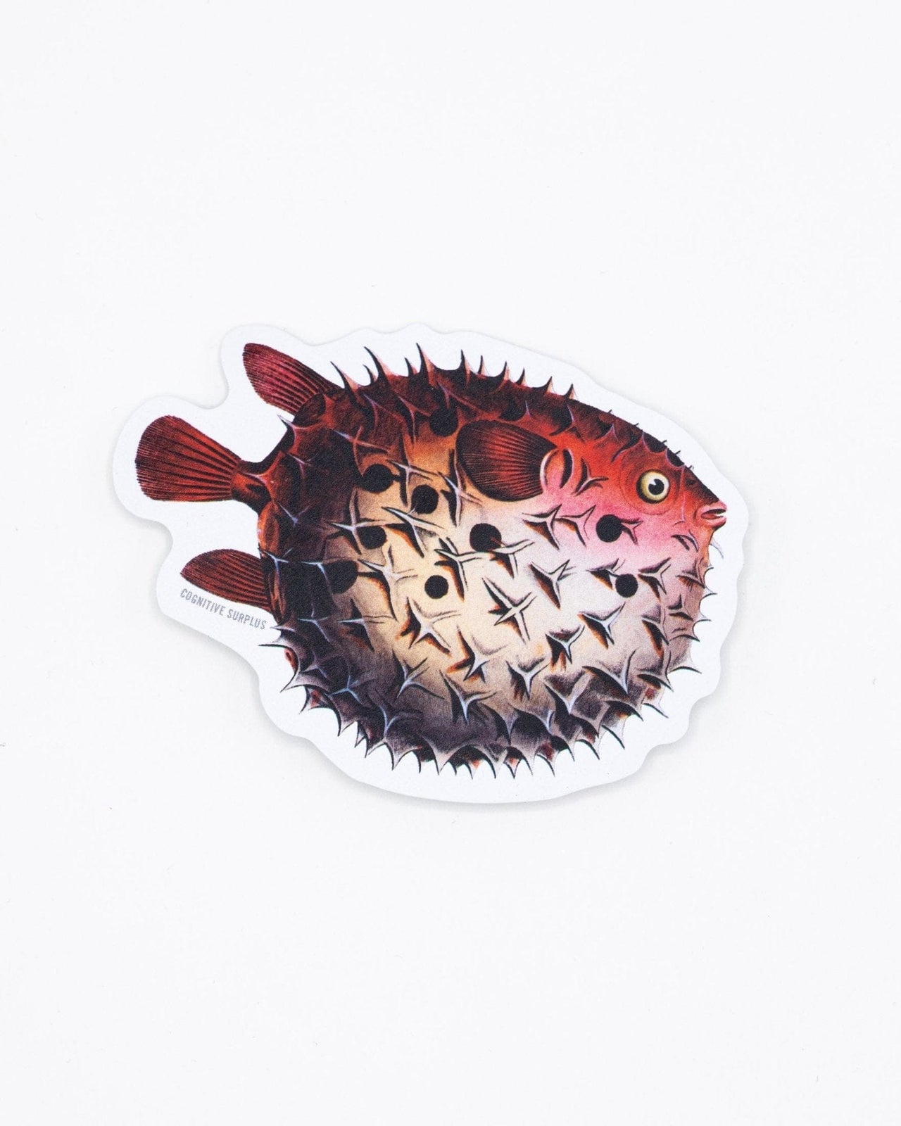 Pufferfish Sticker – Cognitive Surplus
