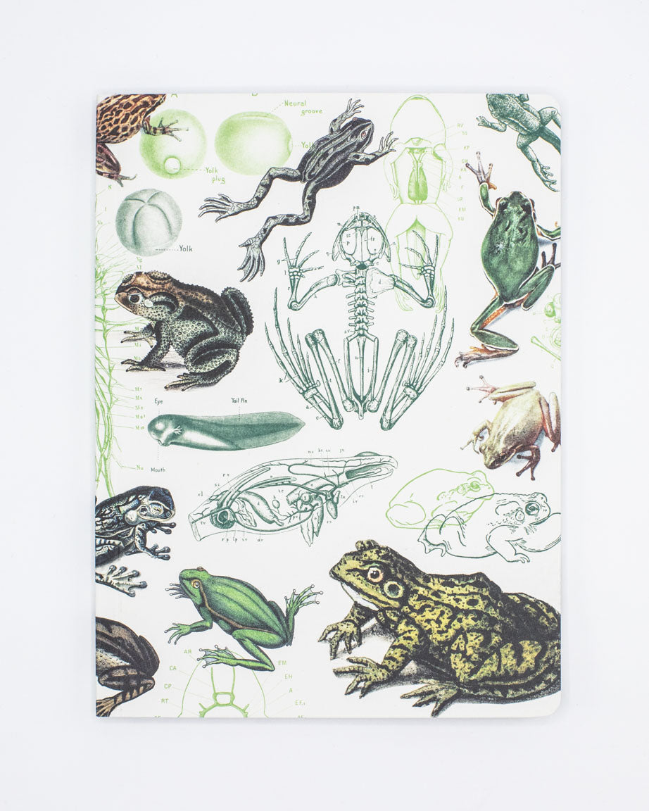 Frogs & Toads Softcover Notebook - Lined – Cognitive Surplus
