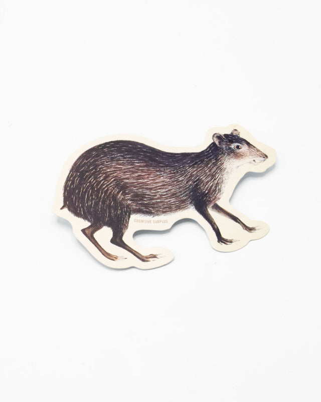 Agouti Sticker – Cognitive Surplus