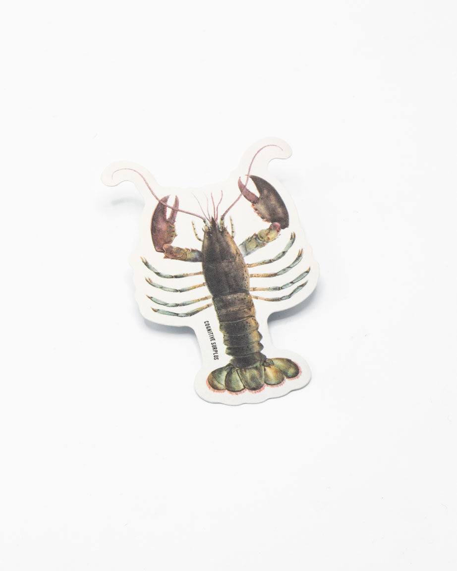 Lobster Sticker – Cognitive Surplus