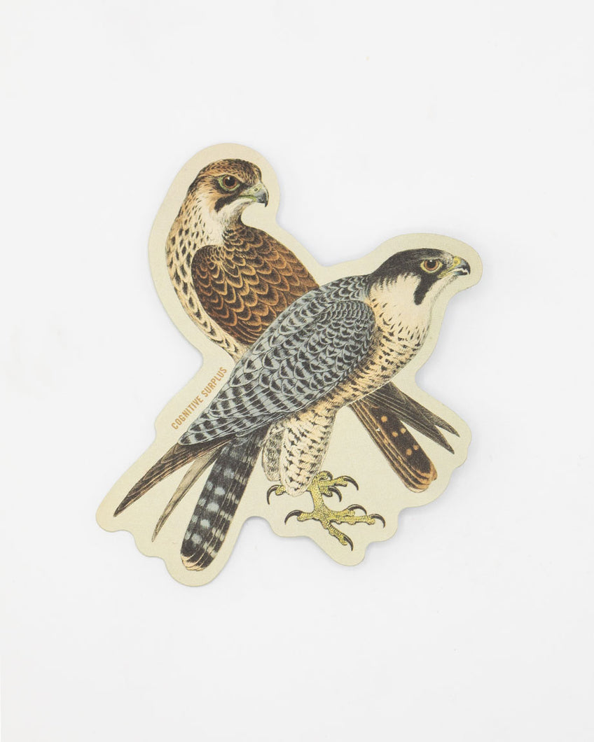 Peregrine Falcon Sticker – Cognitive Surplus