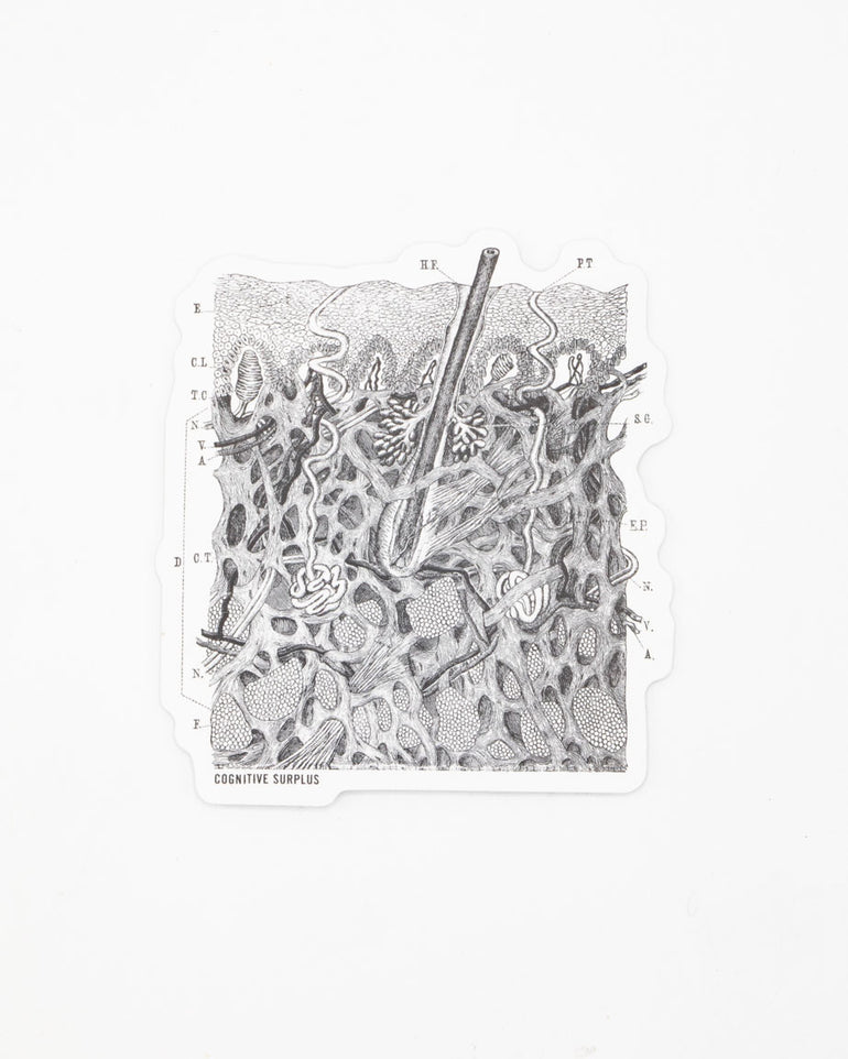 Science Stickers - Recyclable Paper Stickers | Cognitive Surplus