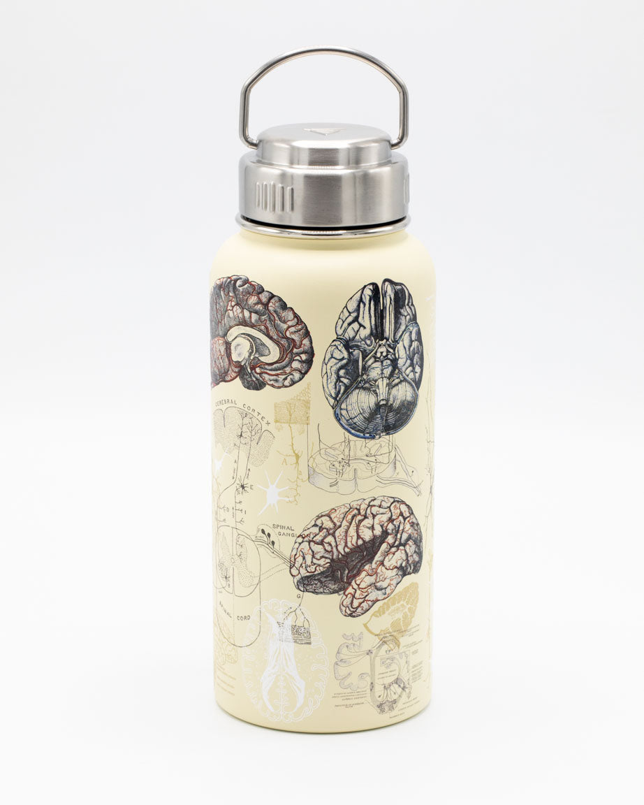 Stainless Steel 32 Oz Science Water Bottles | Cognitive Surplus