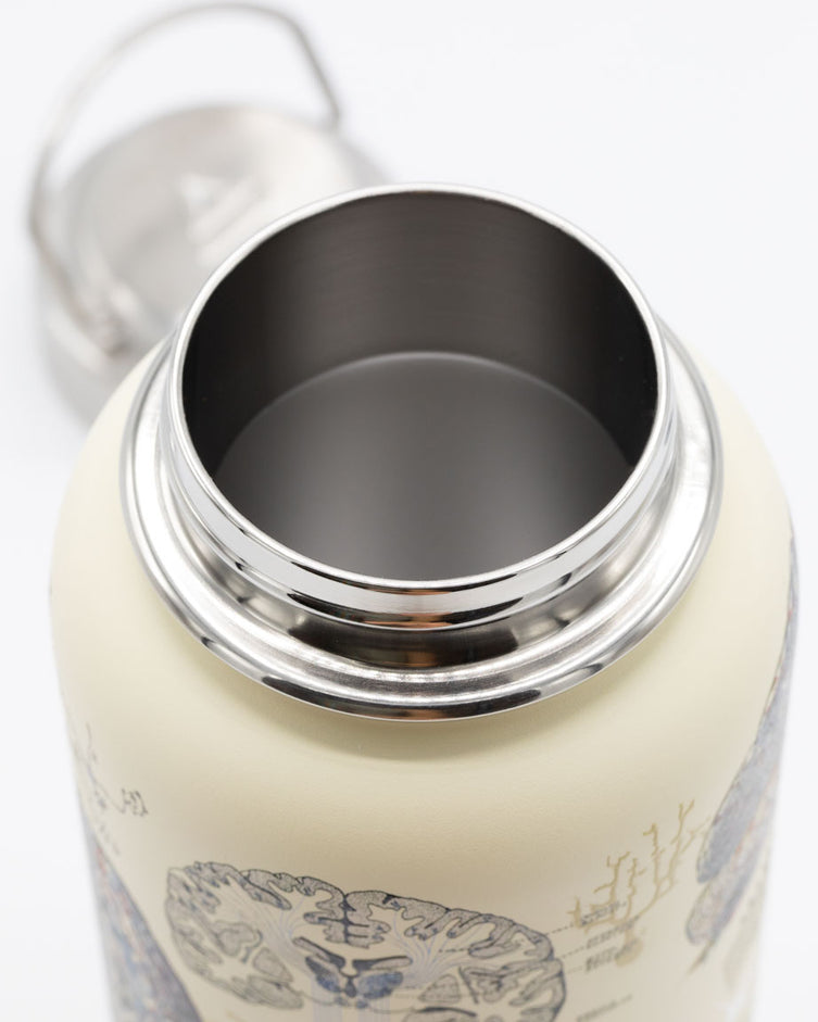 Brain & Neuroscience 18 oz Insulated Steel Bottle by Cognitive Surplus