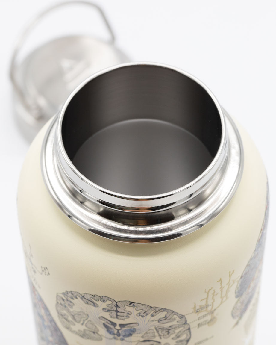 Stainless Steel 32 Oz Science Water Bottles | Cognitive Surplus