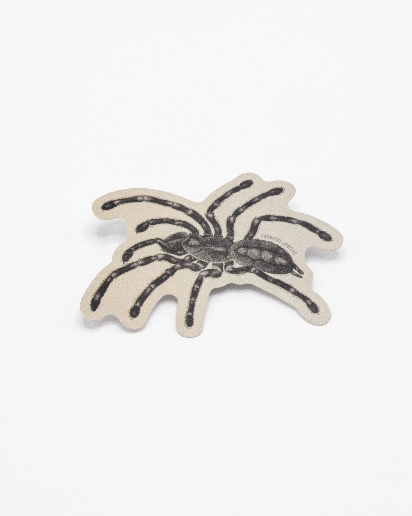 Tarantula Spider Sticker – Cognitive Surplus