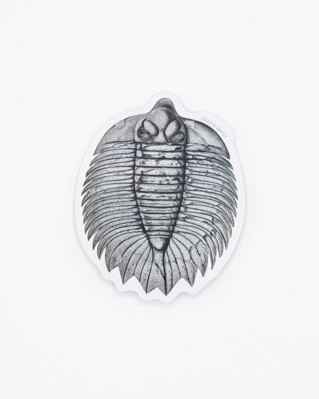 Trilobite Fossil Sticker – Cognitive Surplus