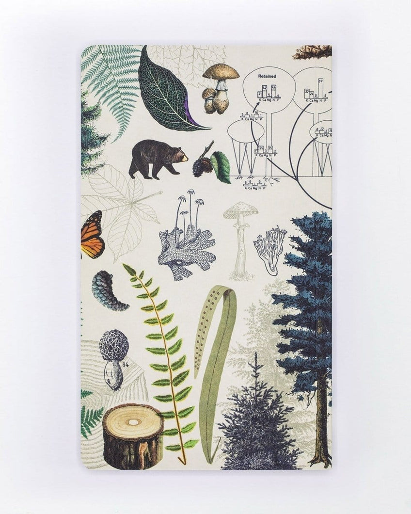 Woodland Forest Yearly Planner – Cognitive Surplus